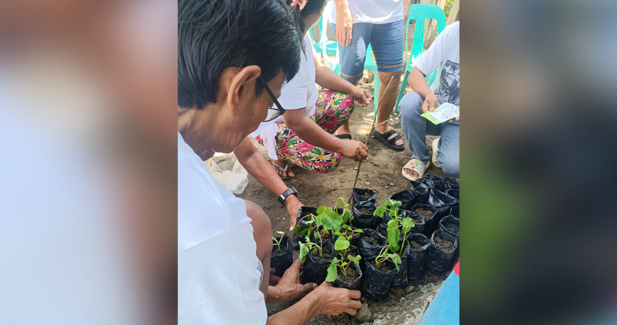 Livelihood Trainings