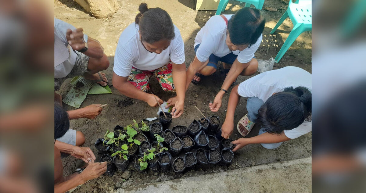 Livelihood Trainings